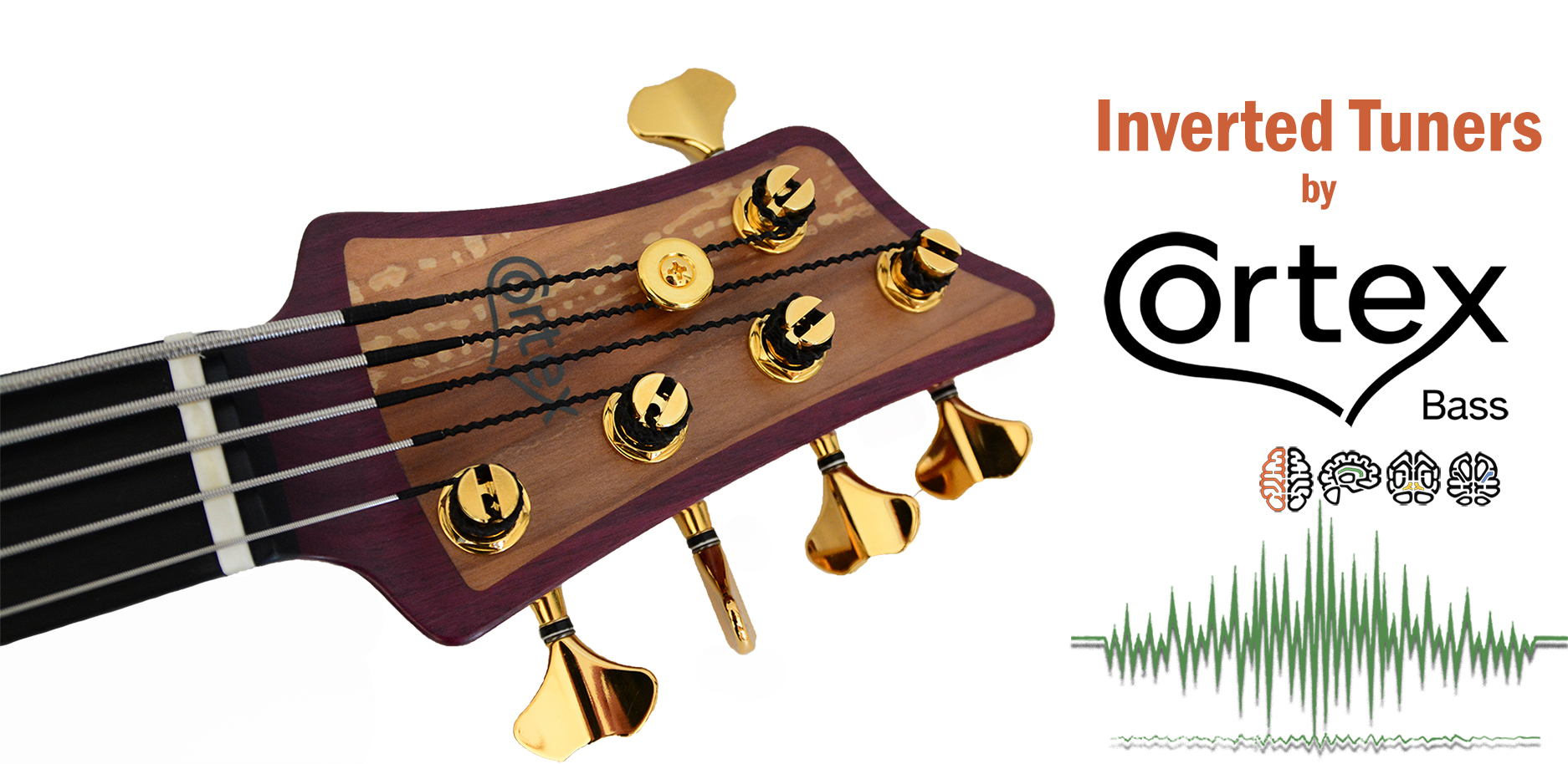 Homepage - Einführung in das Universum der Marke Cortex Bass